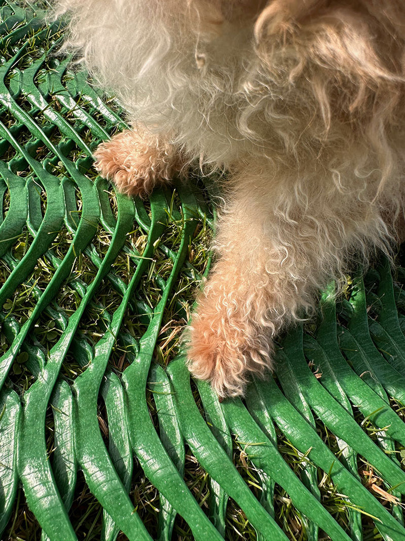 Grass Protection Mesh — Eastgate Supply